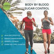 Sugar Free Protein Bars and Shakes for Hunger Control, Steady Energy ...